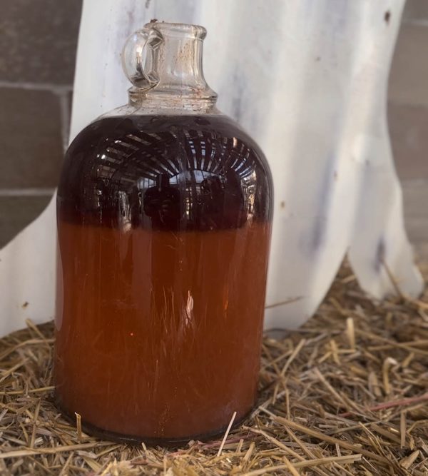 Recipe: Make Your Own Hot Pepper Animal Repellent - Goldner Walsh ...